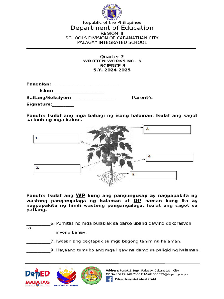 WW3 - Science 3-Q2 | PDF