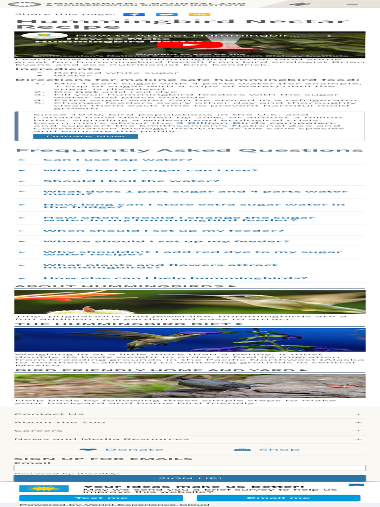 Hummingbird Nectar Recipe Smithsonian Migratory Bird Center | PDF ...