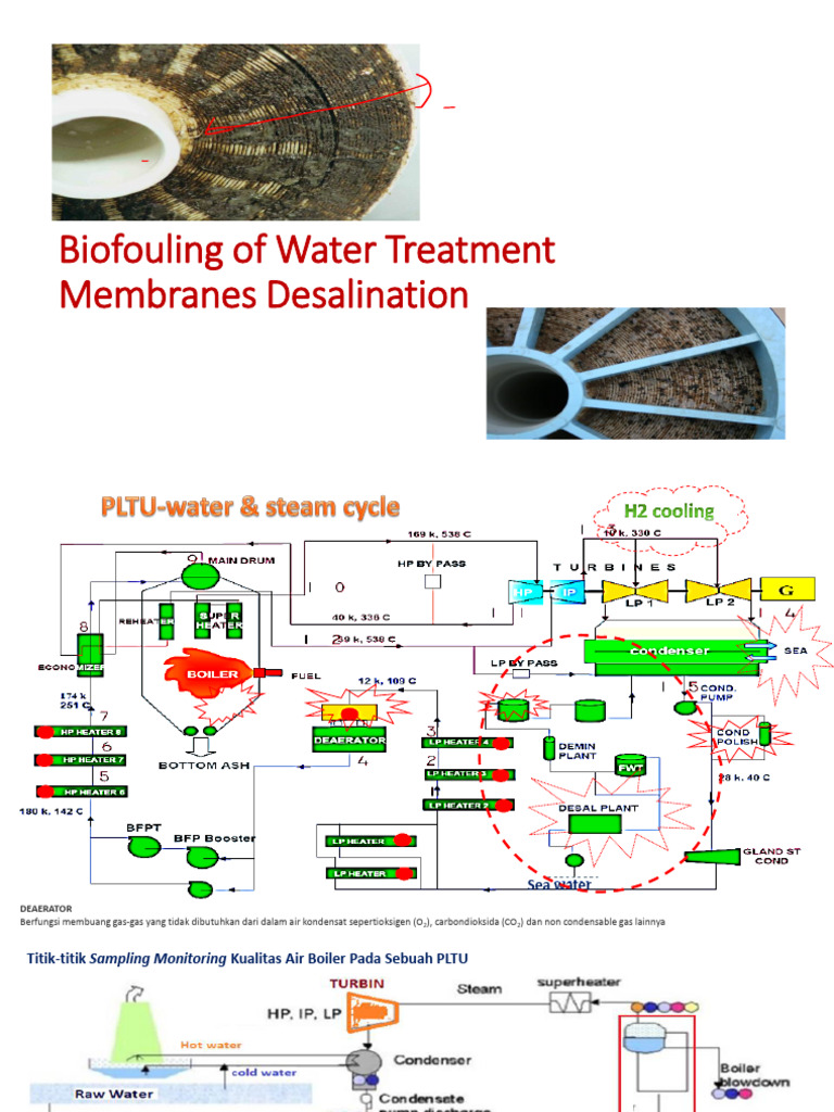 5 Membran RO of WTP (Biofouling) | PDF | Membrane | Chlorine