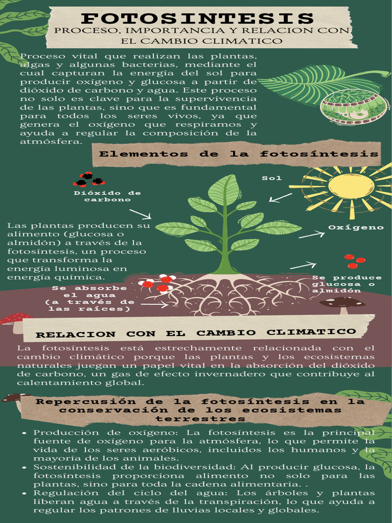 Data Informational | PDF