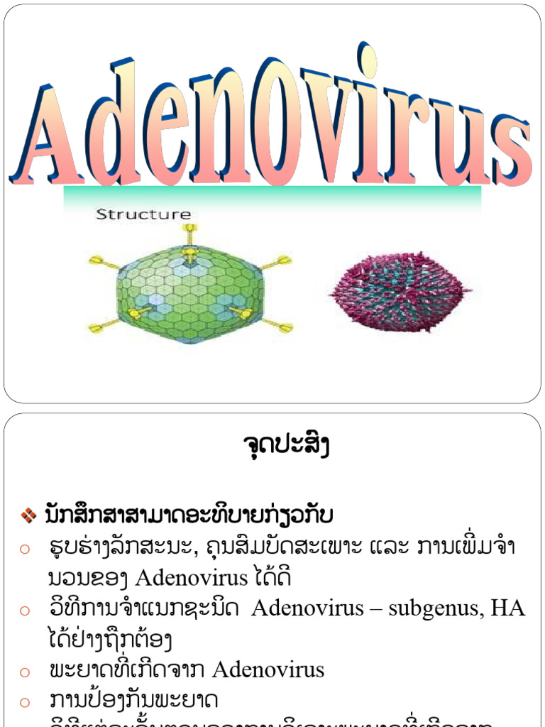 C1L6 Adenovirus | PDF