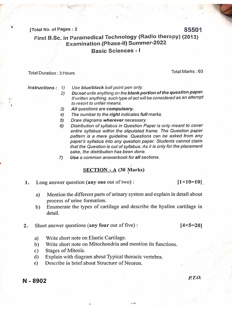 1st Year Paper | PDF