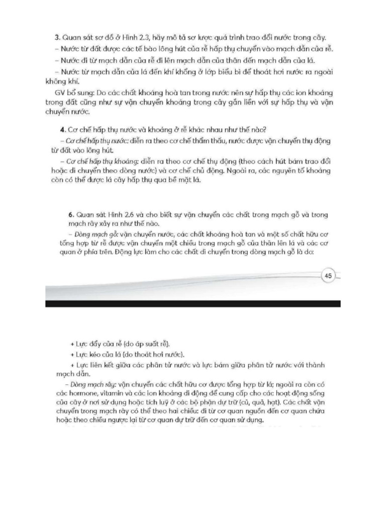 Sinh 11 GK 1 | PDF