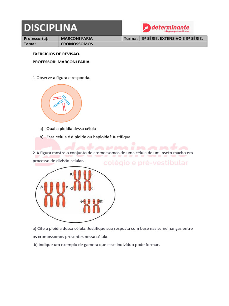Lista 02 - Cromossomos 2025 | PDF | Ploidia | Espécies