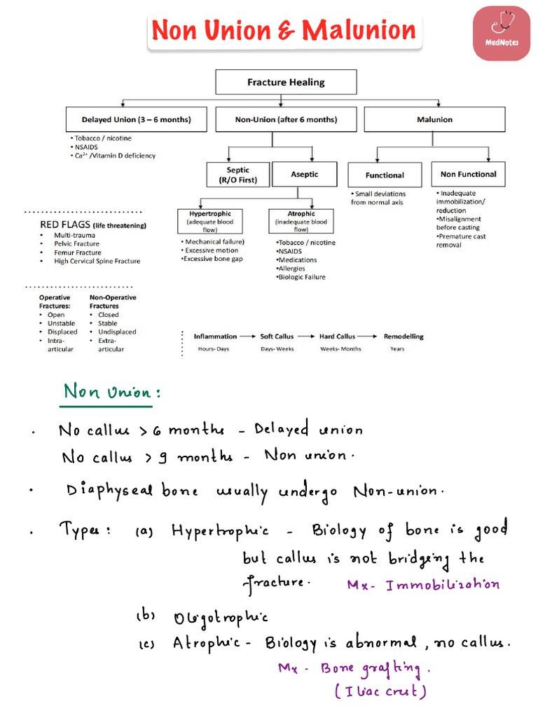 Bone Healing Challenges Explained | PDF