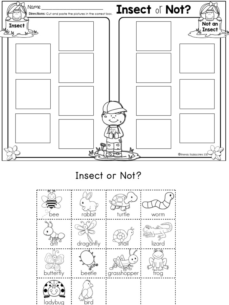 Insect or Not Activity (1) - Pages | PDF