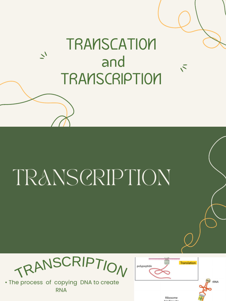 Classroom Expectations Presentation in Green and Yellow Minimalist ...