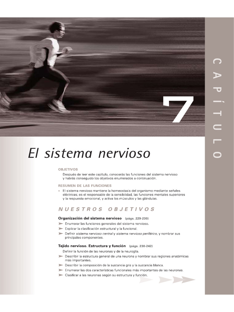 Cap7 IFSSA | PDF