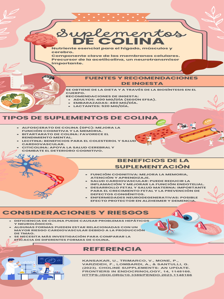Suplementos de Colina | PDF | Especialidades Medicas