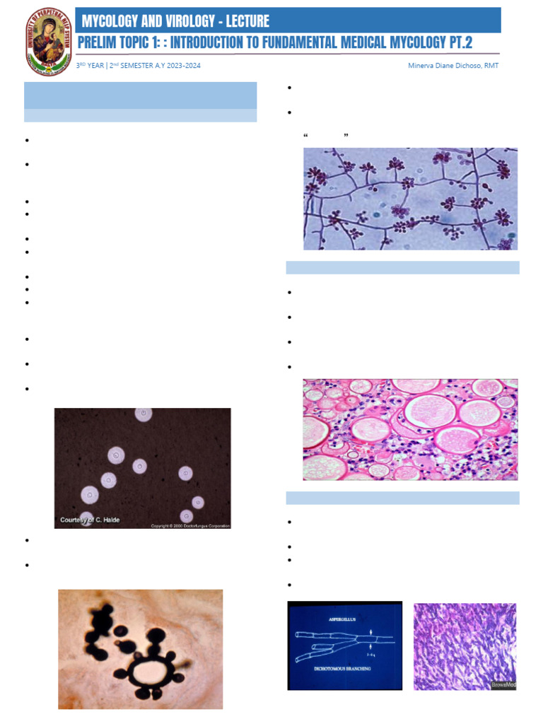Mycoviro Lec - Prelim Topic 2 - Introduction To Fundamental Medical Mycology PT.2 | PDF | Human ...