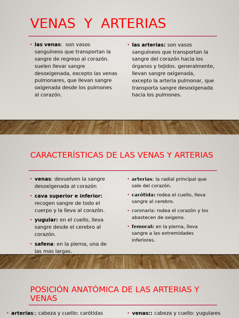 Venas y Arterias | PDF | Vena | Corazón