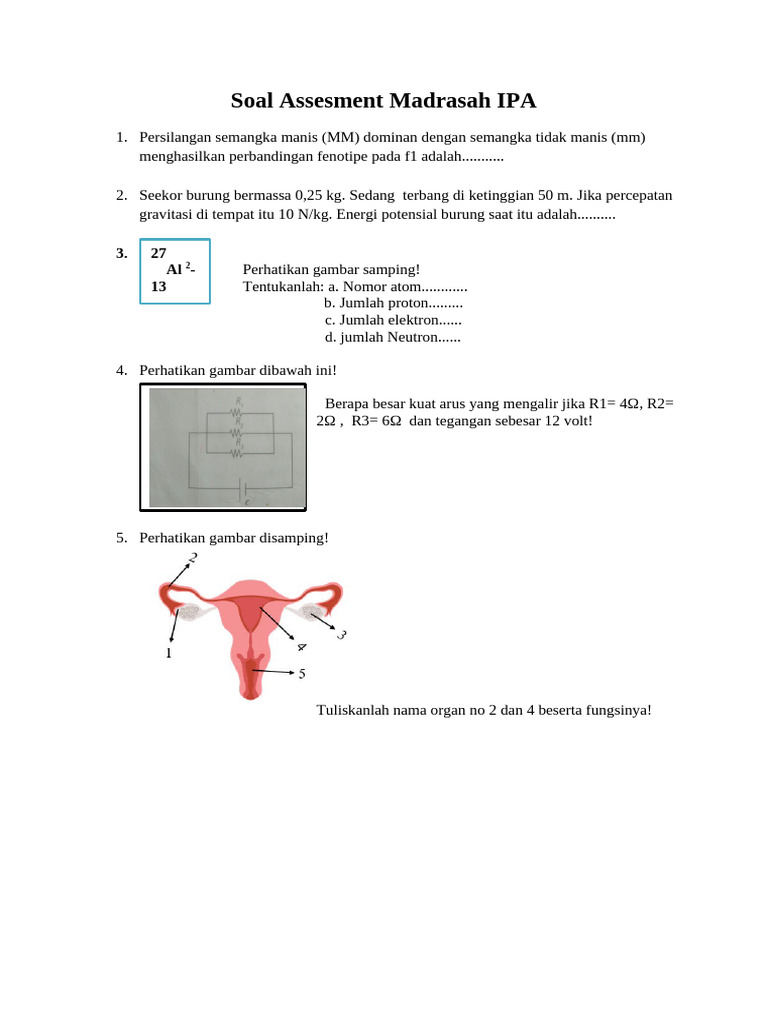 Soal Assesment Madrasah IPA BENAR | PDF