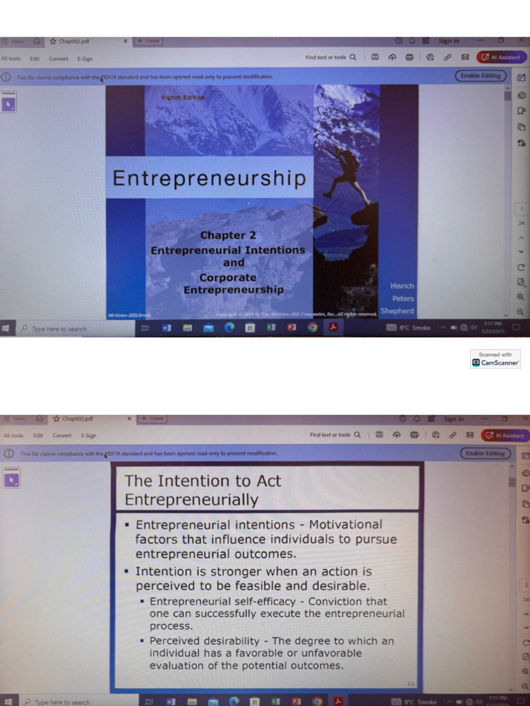 Entrepreneurial Intentions and Corporate Entrepreneurship | PDF