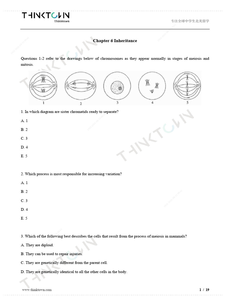 AP生物章节测试 Chapter 6 Inheritance | PDF | Dominance (Genetics) | Mitosis