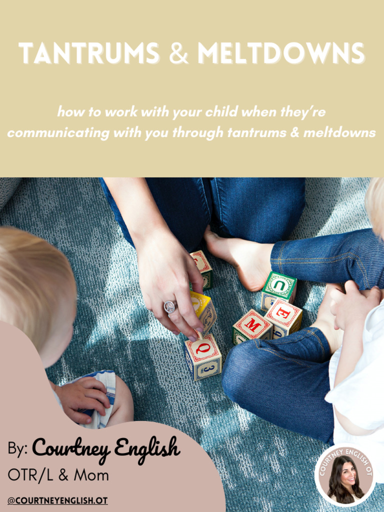 Tantrums Meltdowns Freebie | PDF | Brain | Psychological Concepts