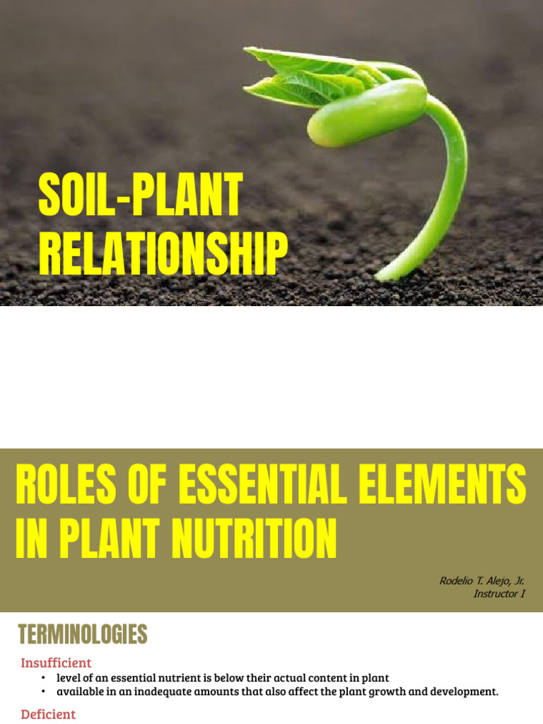 Essential Elements in Plant Nutrition | PDF | Plant Nutrition | Nutrition
