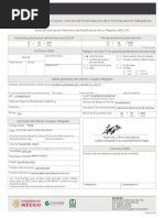 AM-SRT Formato Editable | PDF