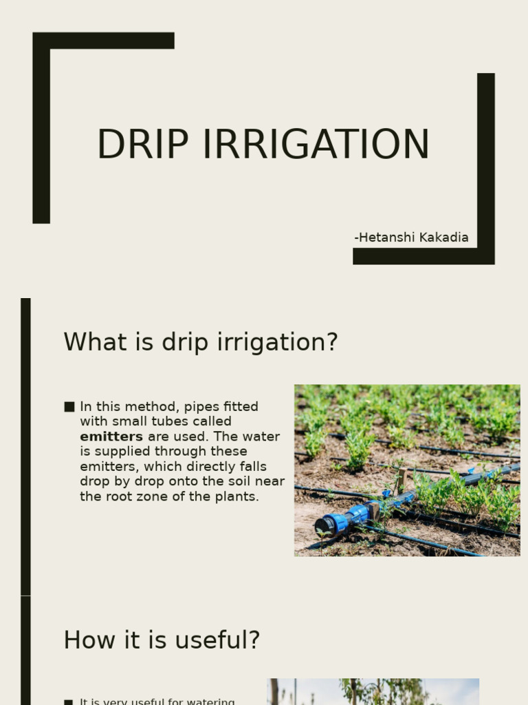 Efficient Drip Irrigation for Trees | PDF