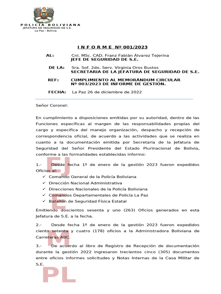 MODELO INFORME DE GESTION | PDF | Gobierno