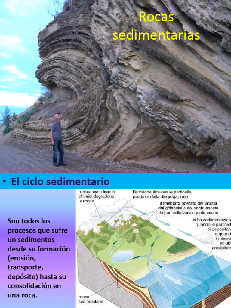Procesos de Formación de Rocas Sedimentarias | PDF | Roca clástica ...