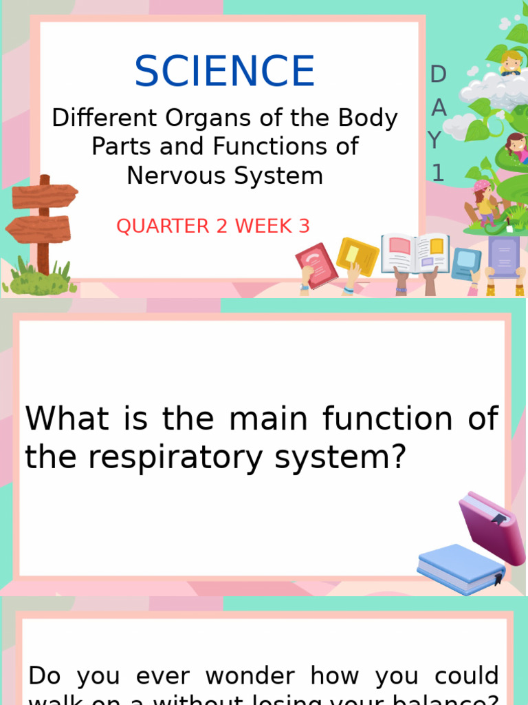Science 6 Q2-W3 | PDF | Nerve | Neuron