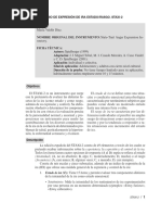 Inventario STAXI-2 de Ira | PDF