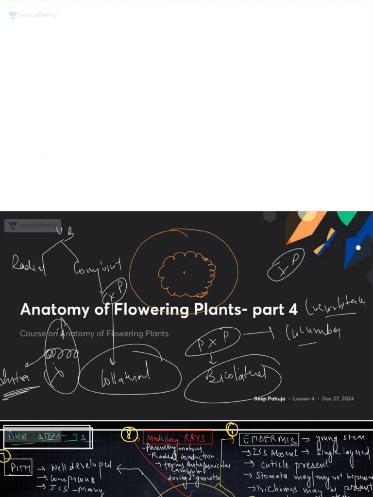 Anatomy_of_Flowering_Plants_part_4_with_anno | PDF