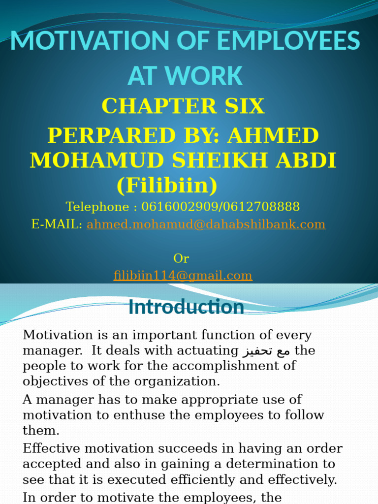 Employee Motivation Strategies Explained | PDF | Motivation | Motivational