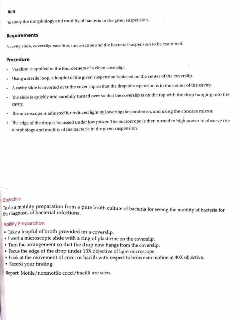 Hanging Drop Technique for Bacterial Motility | PDF | Bacteria ...