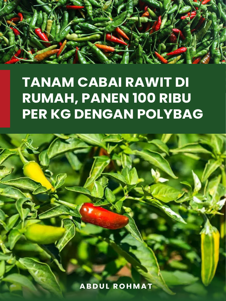 Ebook Tanam Cabai Rawit | PDF