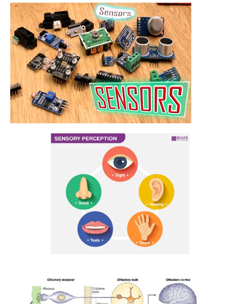 Physics of Sensors For Students | PDF | Thermocouple | Piezoelectricity