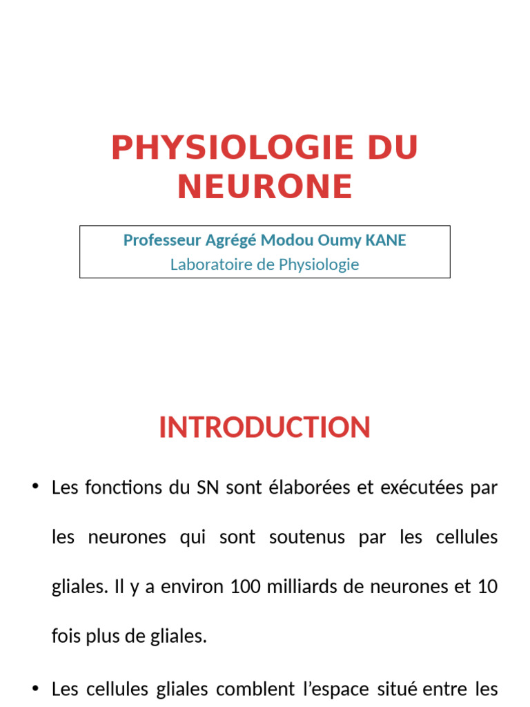 2-PHYSIOLOGIE DU NEURONE | PDF | Neurone | Membrane cellulaire