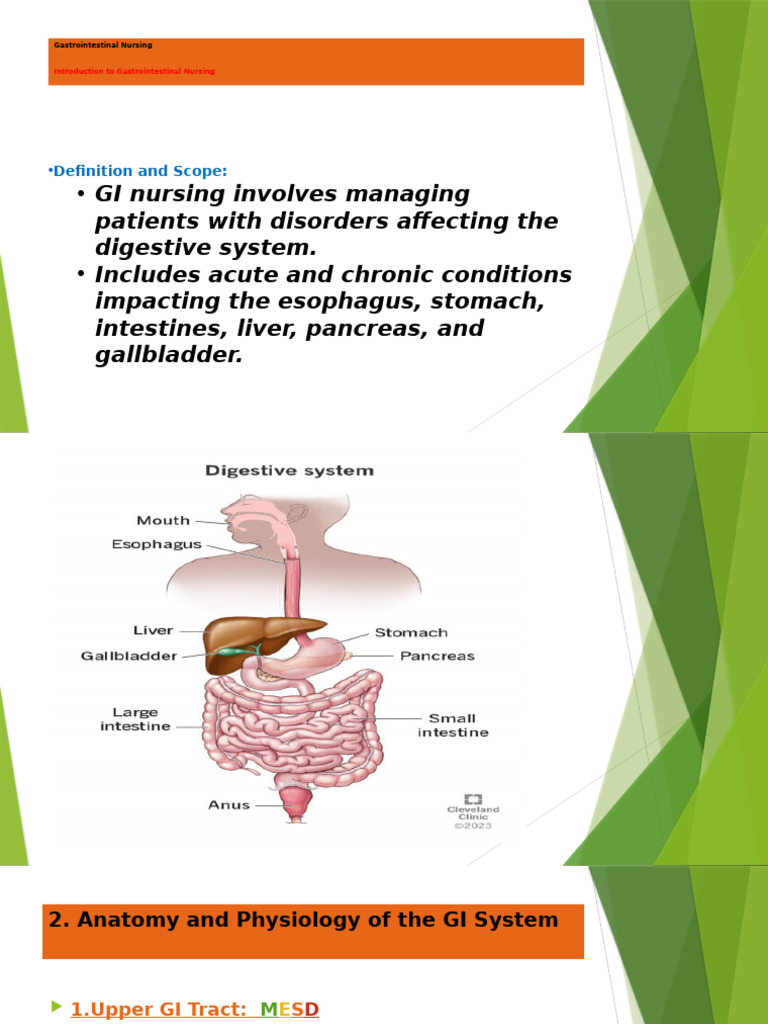 Overview of Gastrointestinal Nursing | PDF | Inflammatory Bowel Disease ...