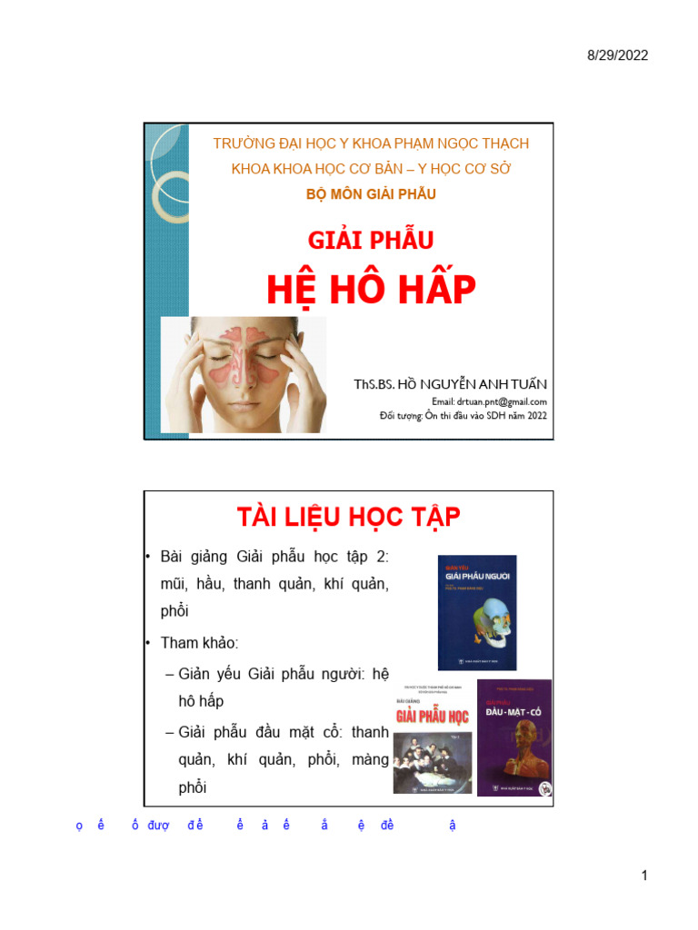 Hệ Hô Hấp | PDF