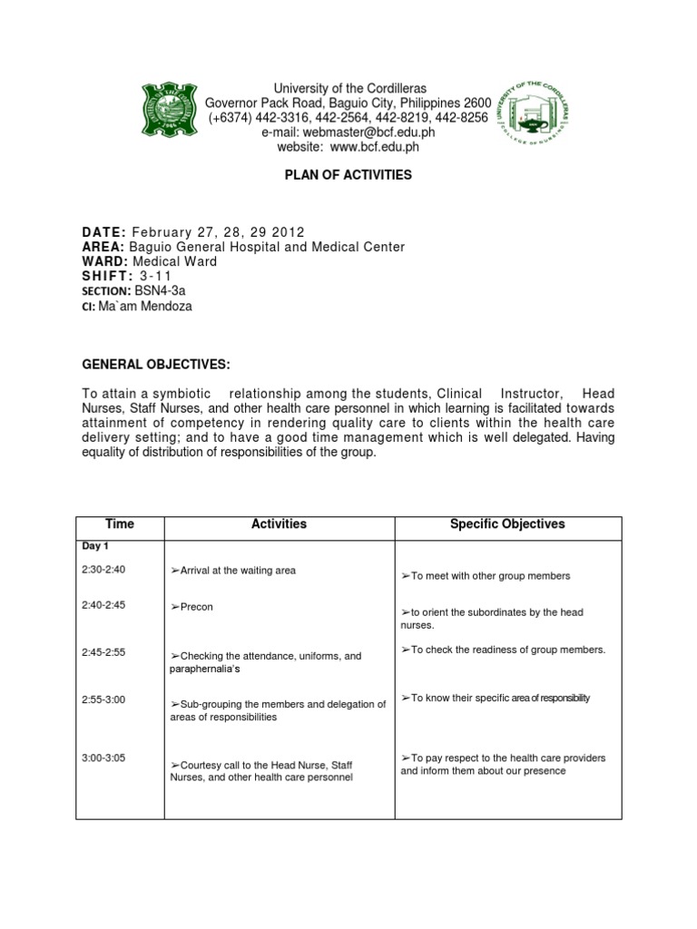 Plan of Activities for Head Nursing | Nursing | Hospital
