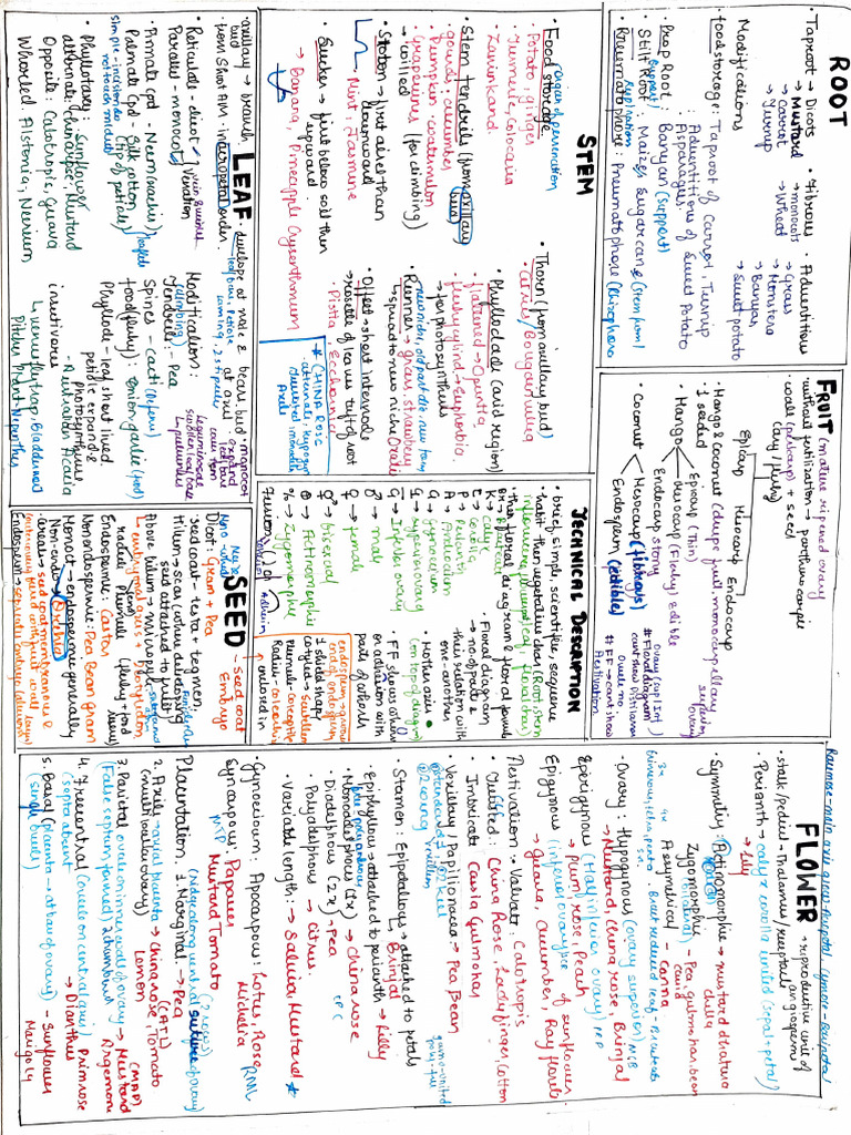 Complete Morphology - Astha Singh PDF | PDF | Horticulture | Horticultural Techniques