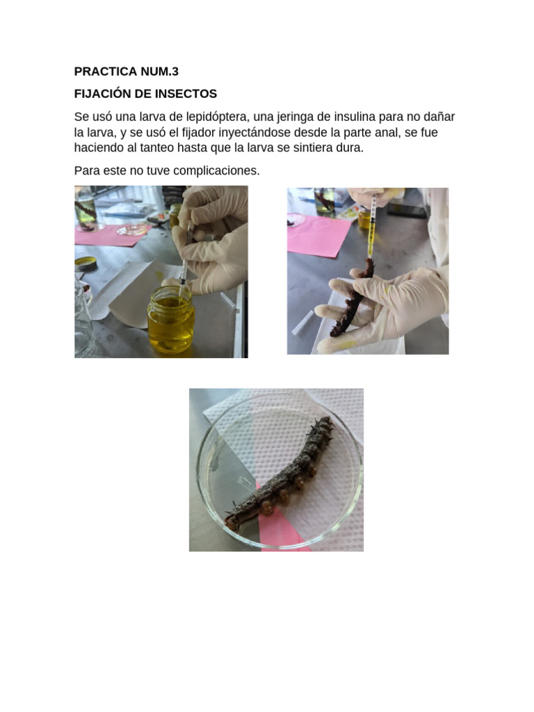 10d - Practica 3 | PDF