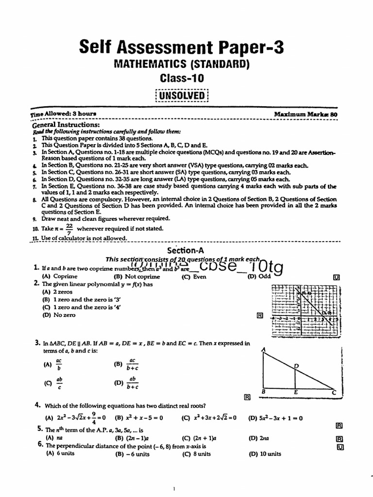 Maths SQP CLASS X PRINTABLE | PDF