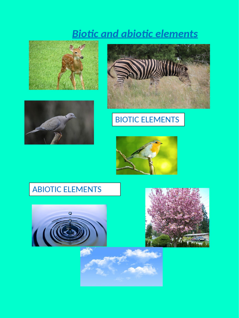 scribd_sheet for project | PDF