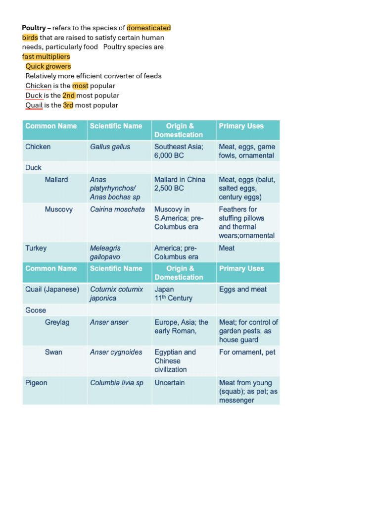 Poultry Lec Module 1 (REVIEWER) | PDF | Poultry | Chicken