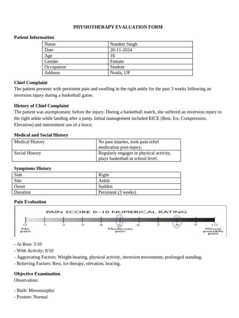 Ankle Sprain Assessment and Rehab Plan | PDF | Ankle | Musculoskeletal ...