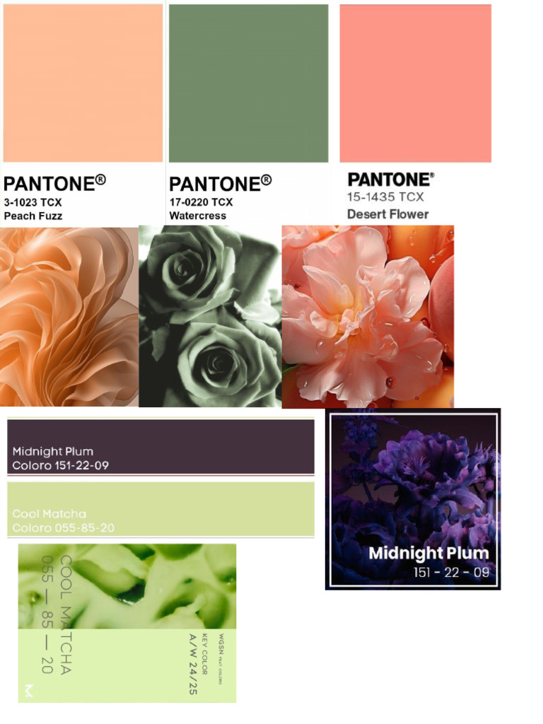 Tren Colour | PDF