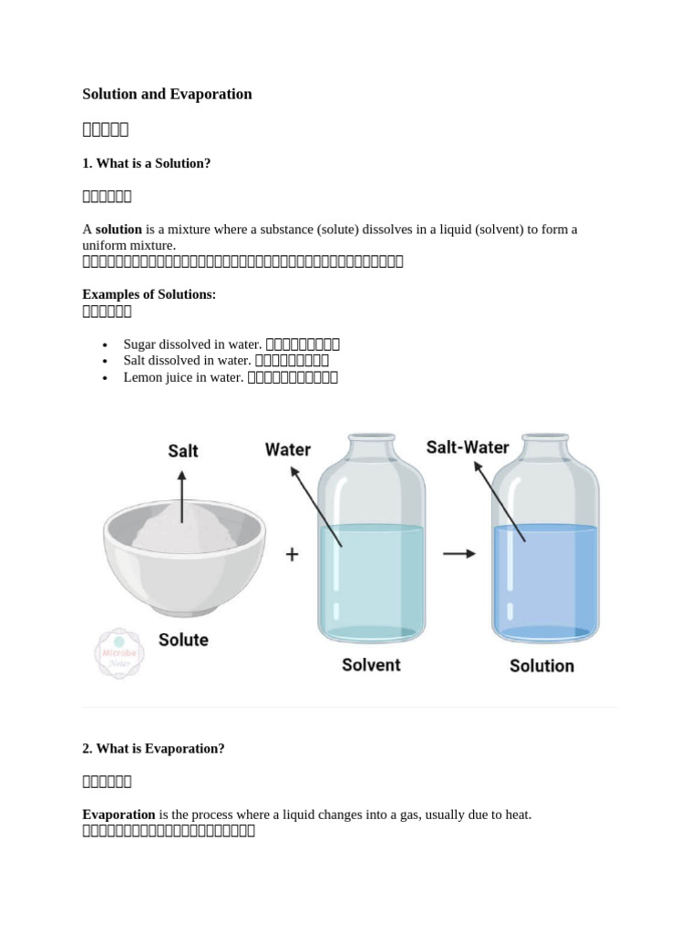 water, solution and solute | PDF | Digestion | Human Digestive System