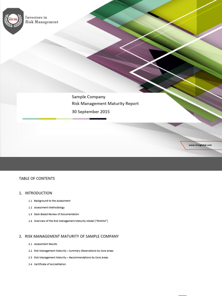 Risk Management Maturity Assessment | PDF | Risk | Risk Management