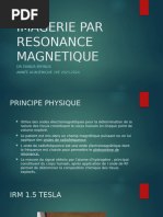 Optimisation des Séquences Écho de Spin en IRM | PDF | Imagerie par résonance magnétique ...