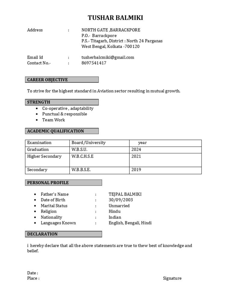 Tushar Balmiki: Career Objective | PDF