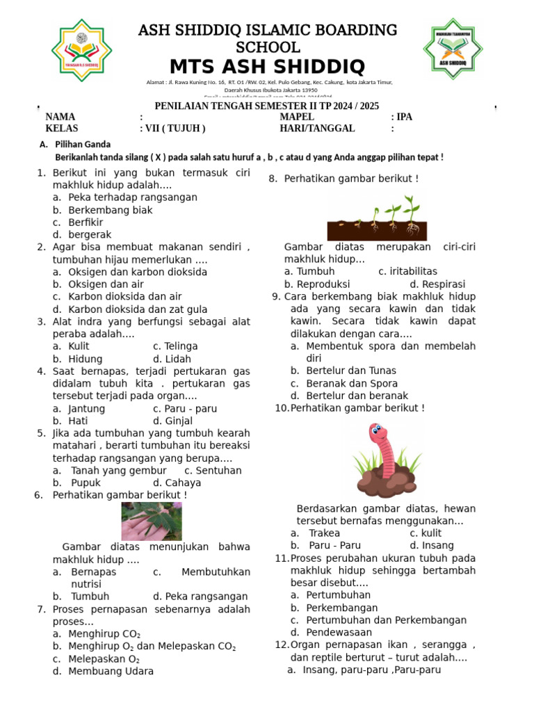 PTS Ipa Vii Sem 2 TP 2024-2025 | PDF