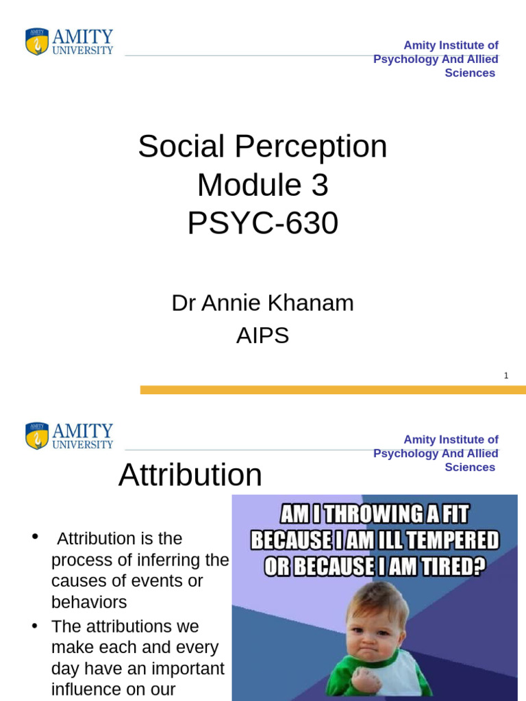 Module 3-Part 2 - Attribution Theories | PDF | Behavior | Psychology