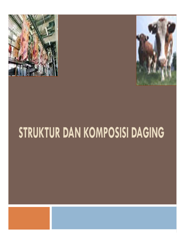Struktur dan Komposisi Daging Sapi | PDF