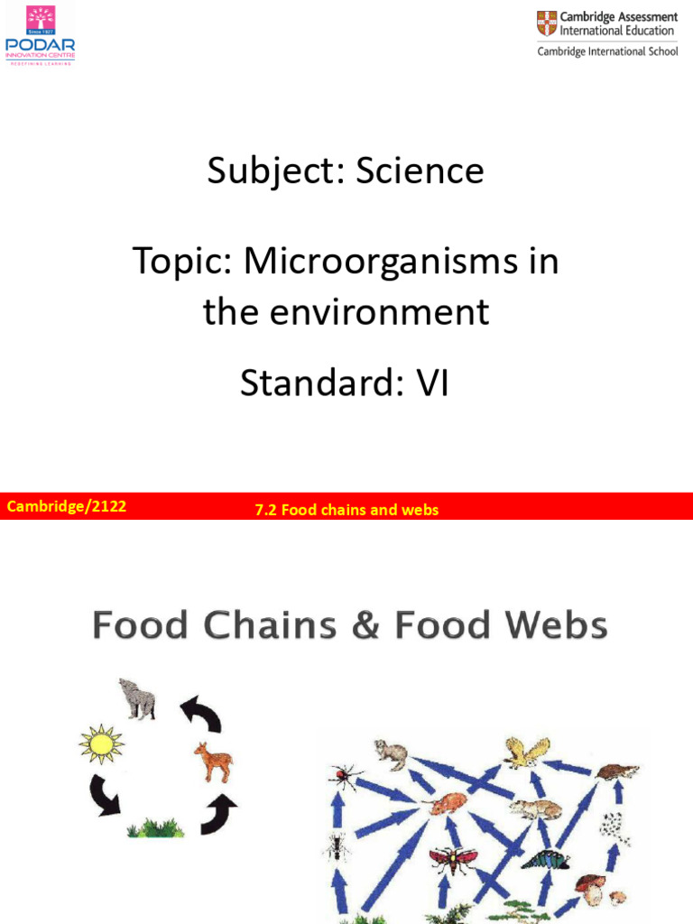PPT1 - Cambridge - VI - Sci - Unit 7.2 - Microorganisms in The Environment | PDF